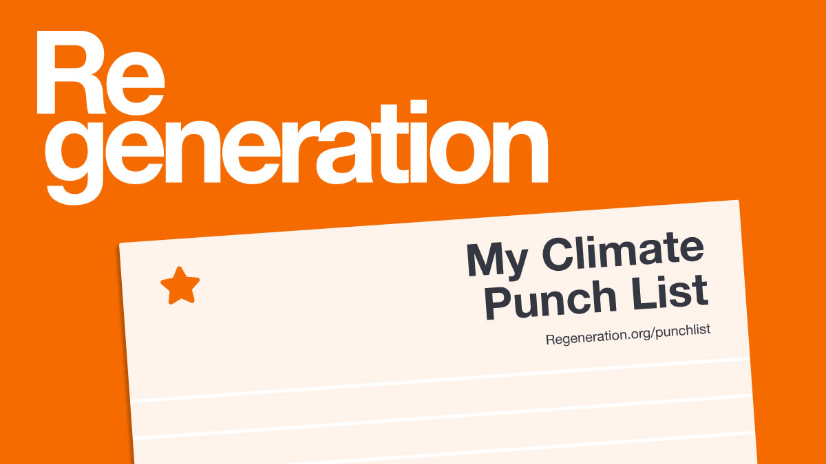 Kavya Gopal’s Punch List | Project Regeneration