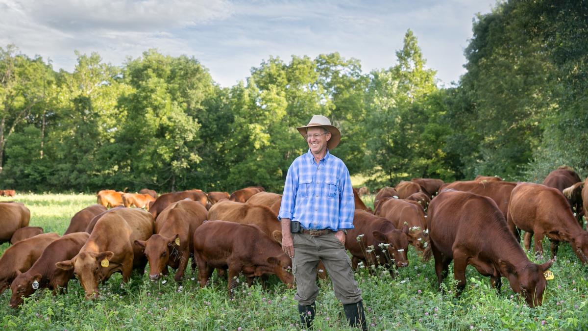 Animal Integration | Project Regeneration