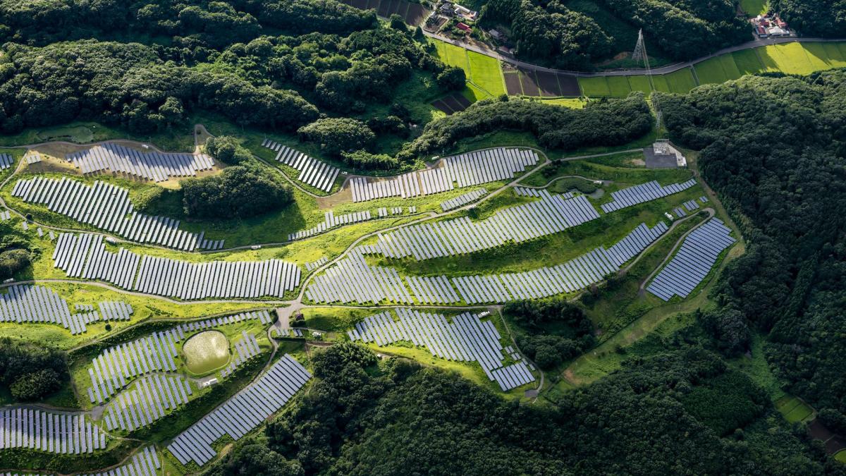 Solar | Project Regeneration